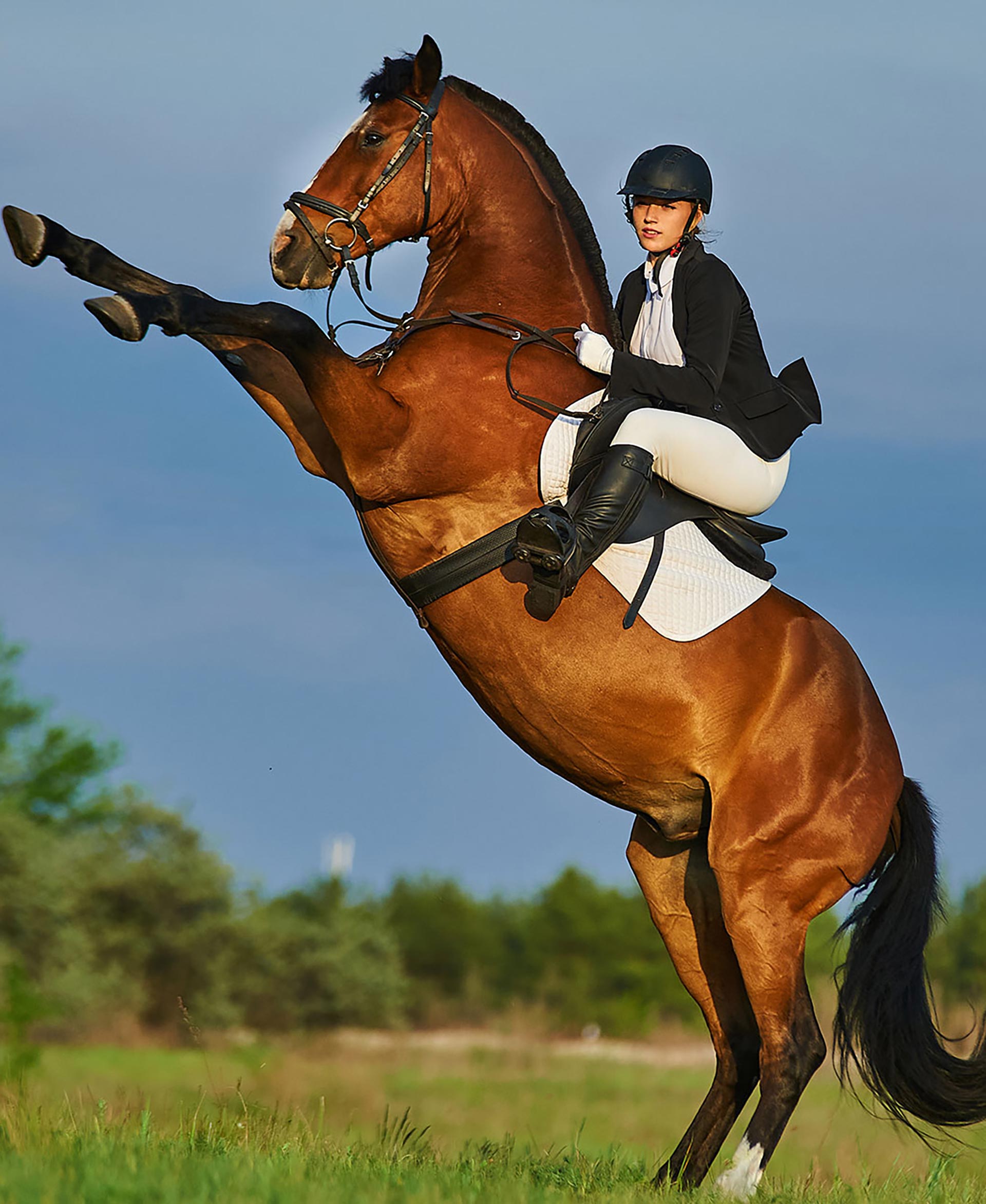 Lucky Rider - Regency Floats