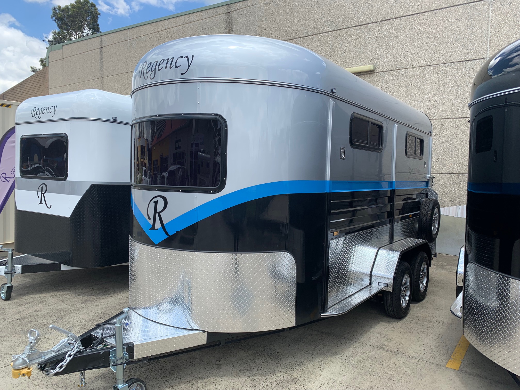 Gallery: Regency Floats' Exquisite Horse Float Designs